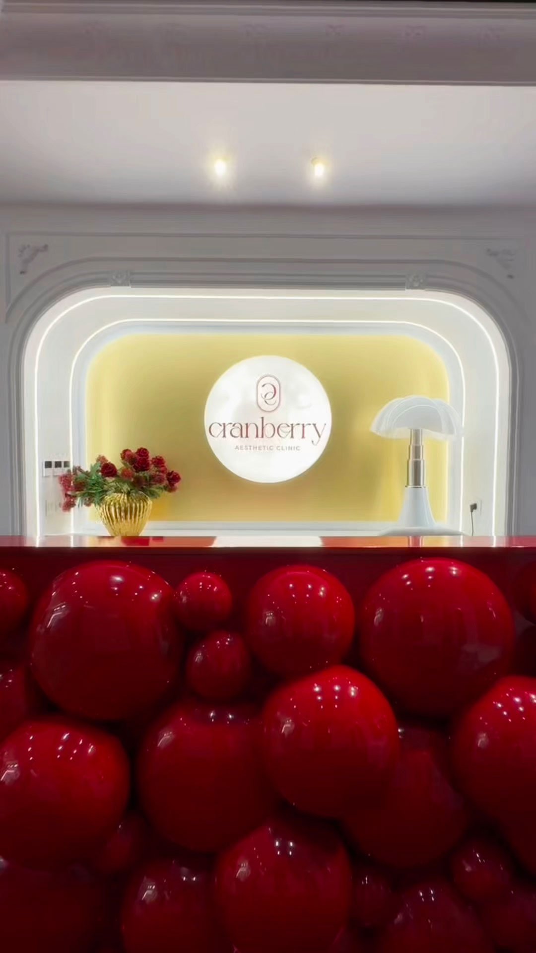 Cranberry Aesthetic Clinic : Clinique esthétique à Tunis